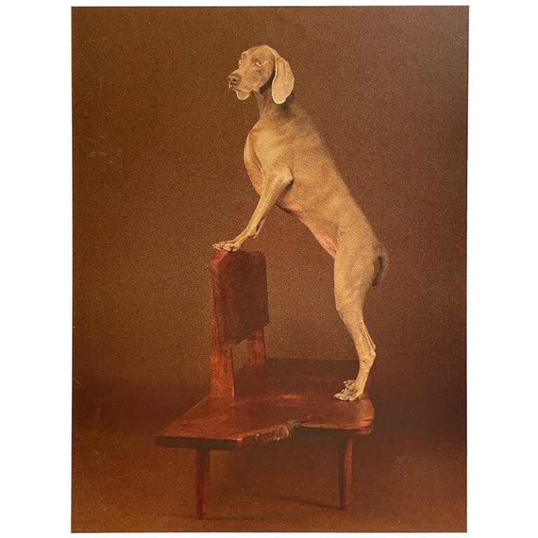 William Wegman Card Up On - Make Designed Objects